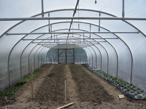 Irrigation In Polytunnels | Polydome