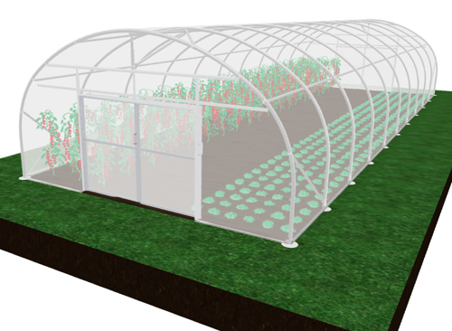 Winter Preparation for Polytunnels: Storm Protection & Cover ...