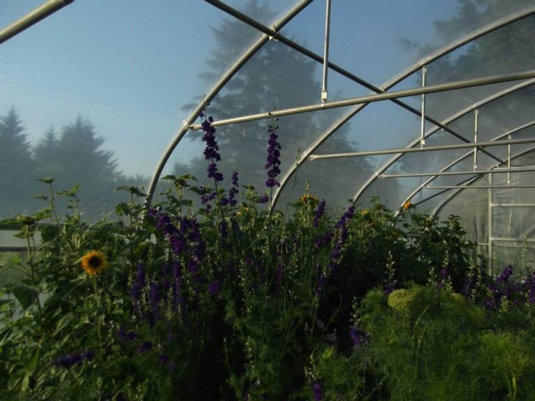 Polydome - Greenhouse & Polytunnel Expert In Ireland