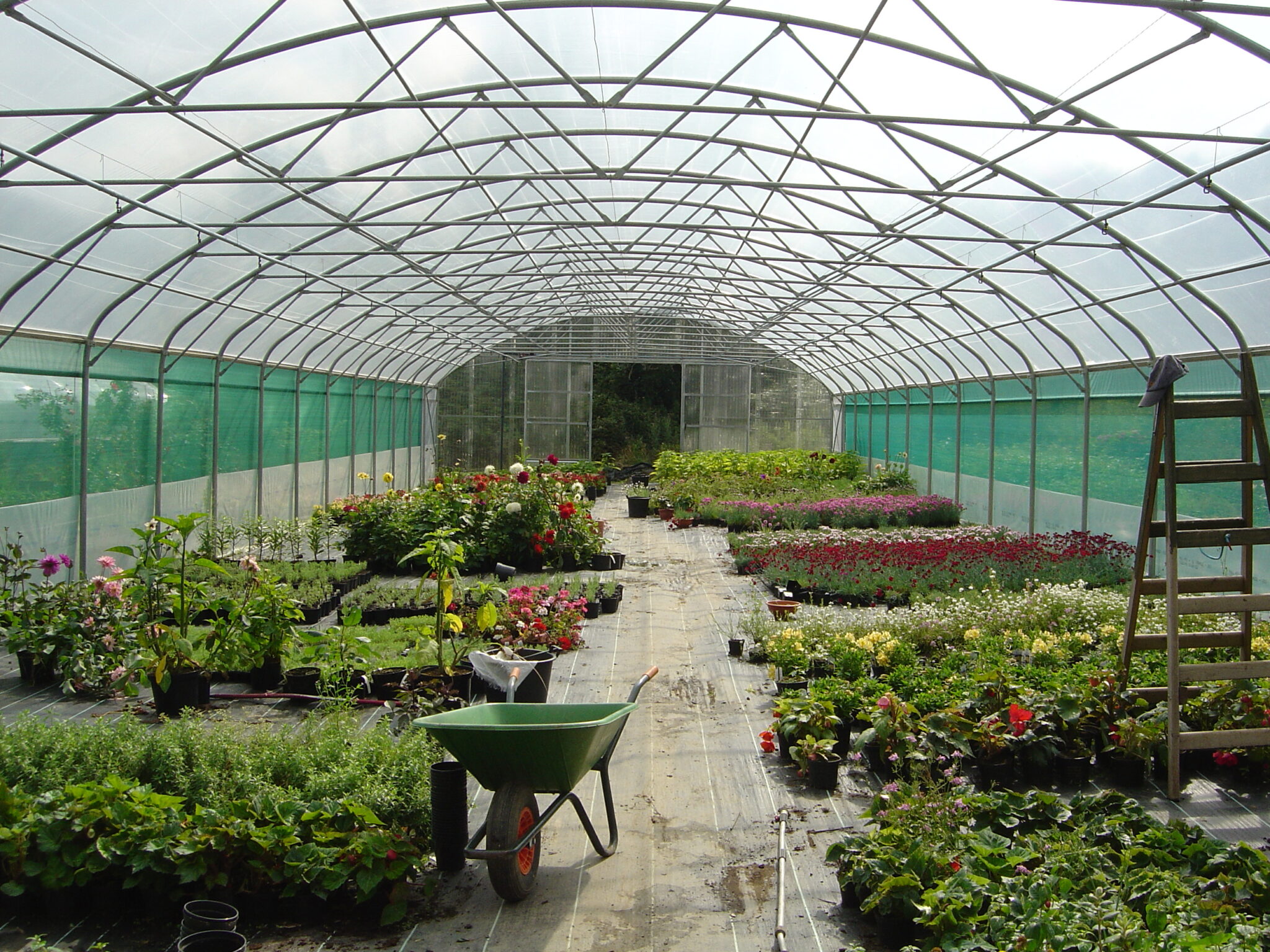 Polydome - Greenhouse & Polytunnel Expert In Ireland