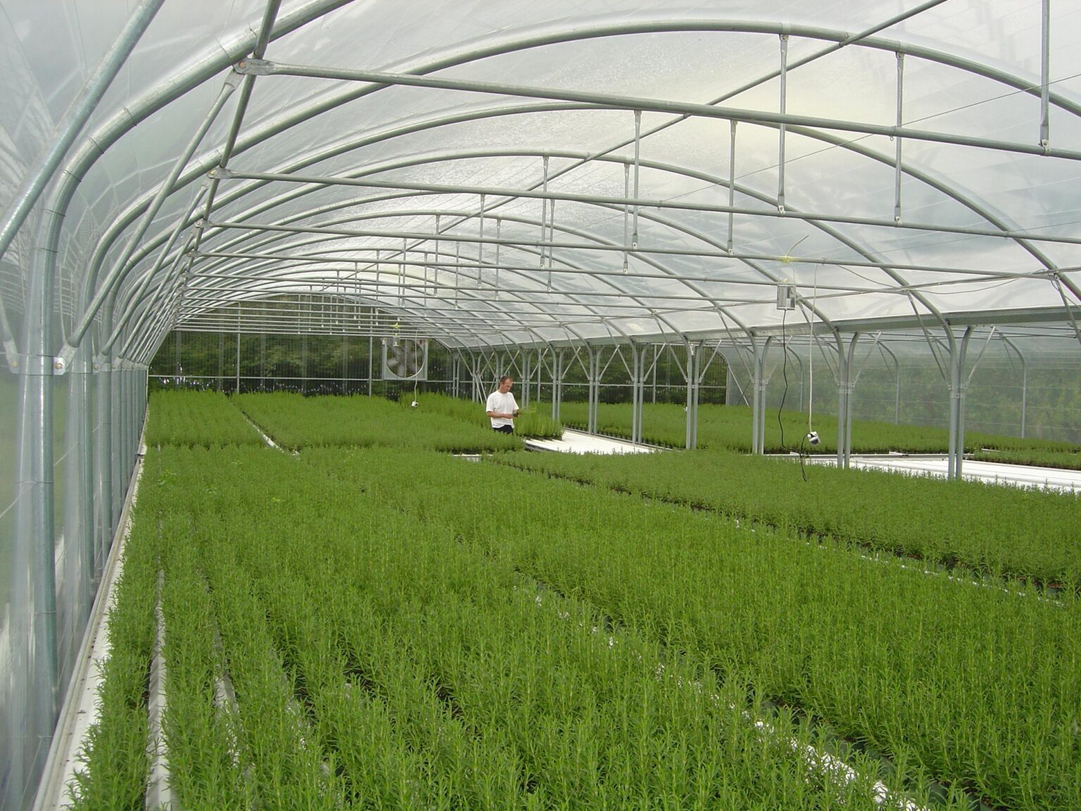 Polydome - Greenhouse & Polytunnel Expert In Ireland