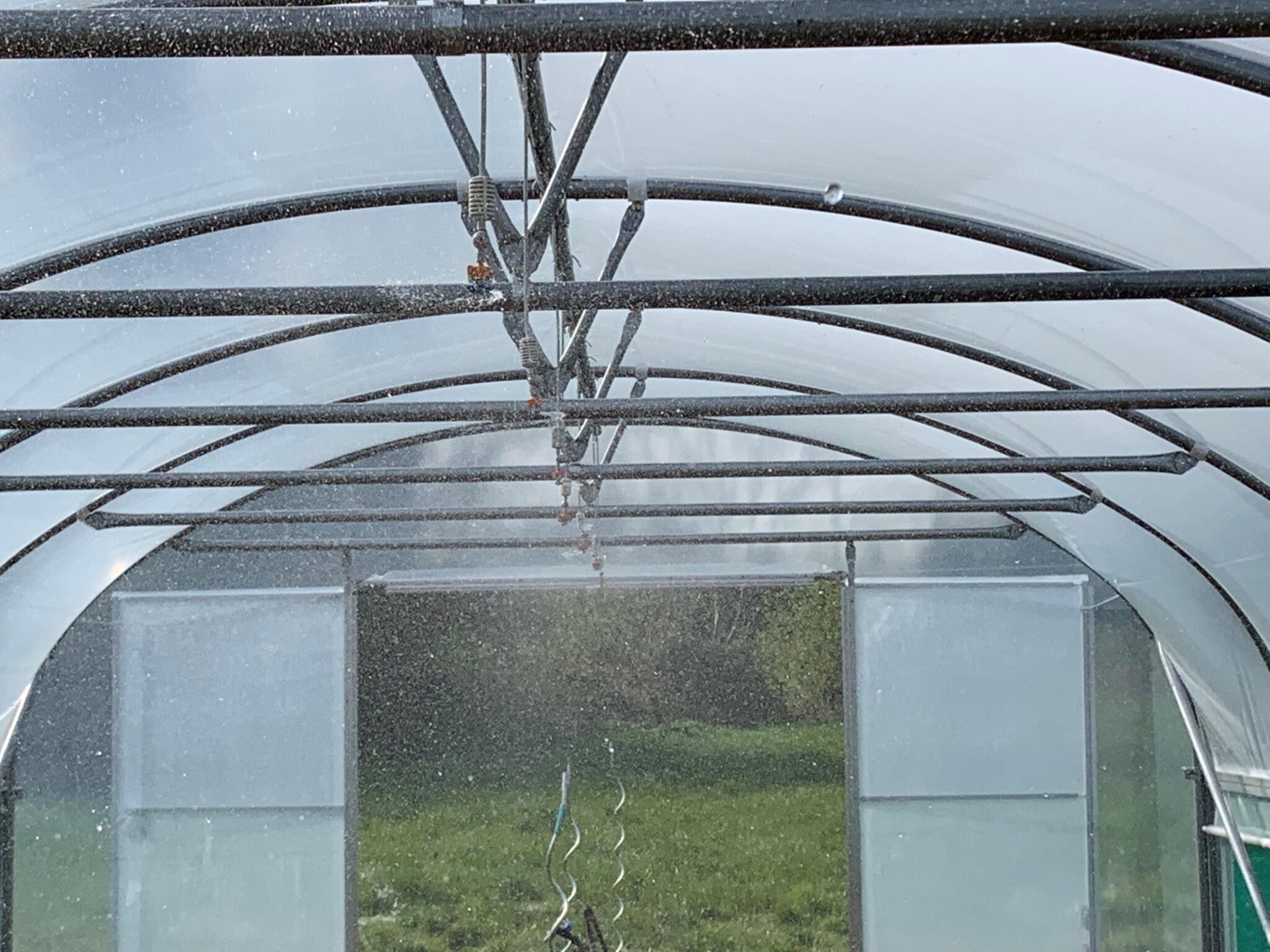Polydome - Greenhouse & Polytunnel Expert In Ireland