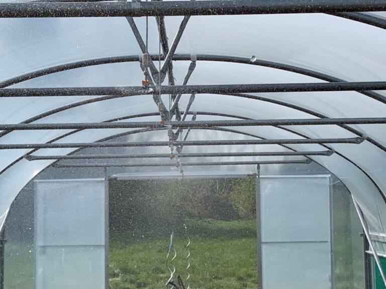 Polydome - Greenhouse & Polytunnel Expert In Ireland