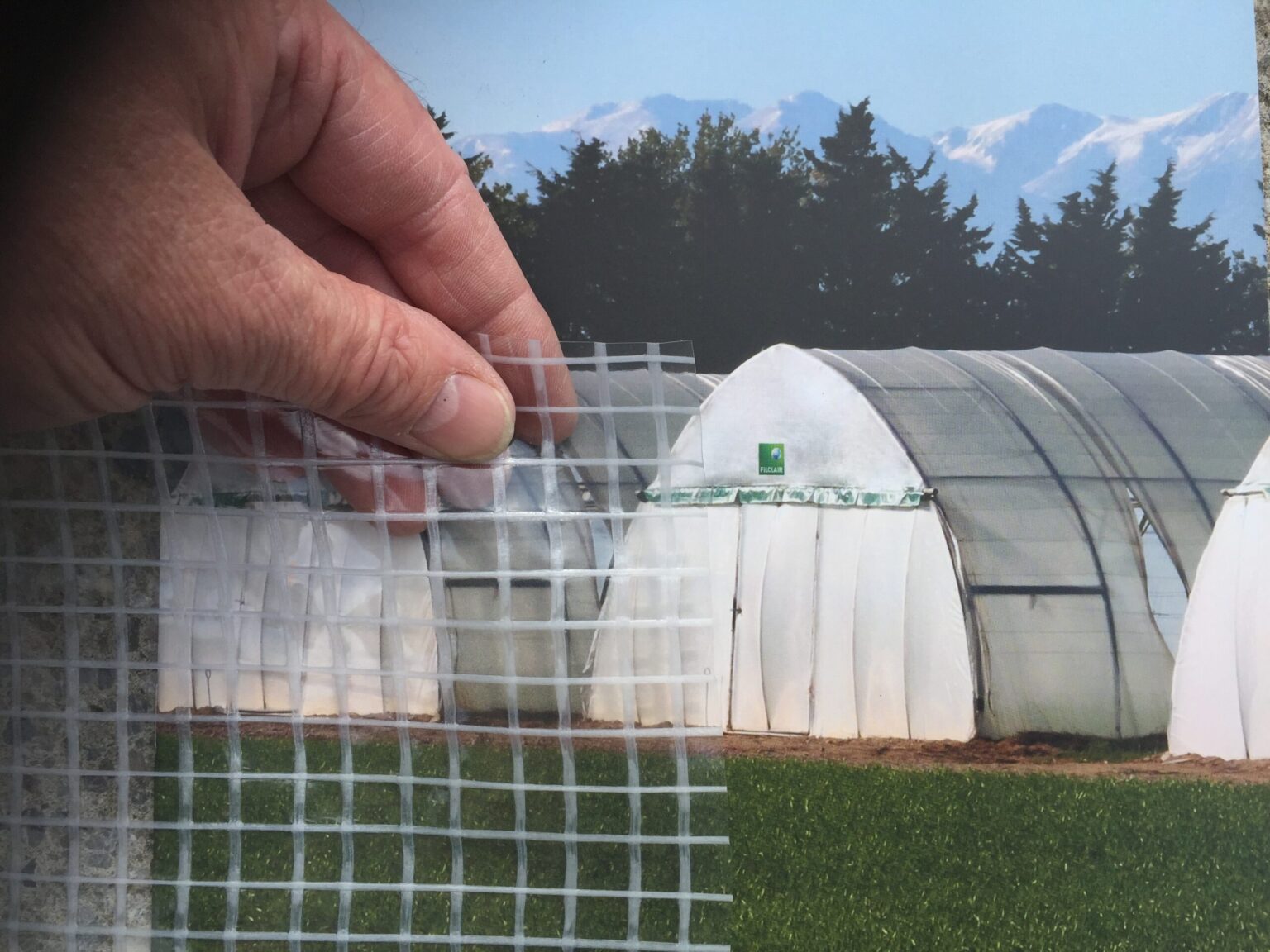 Polydome - Greenhouse & Polytunnel Expert In Ireland
