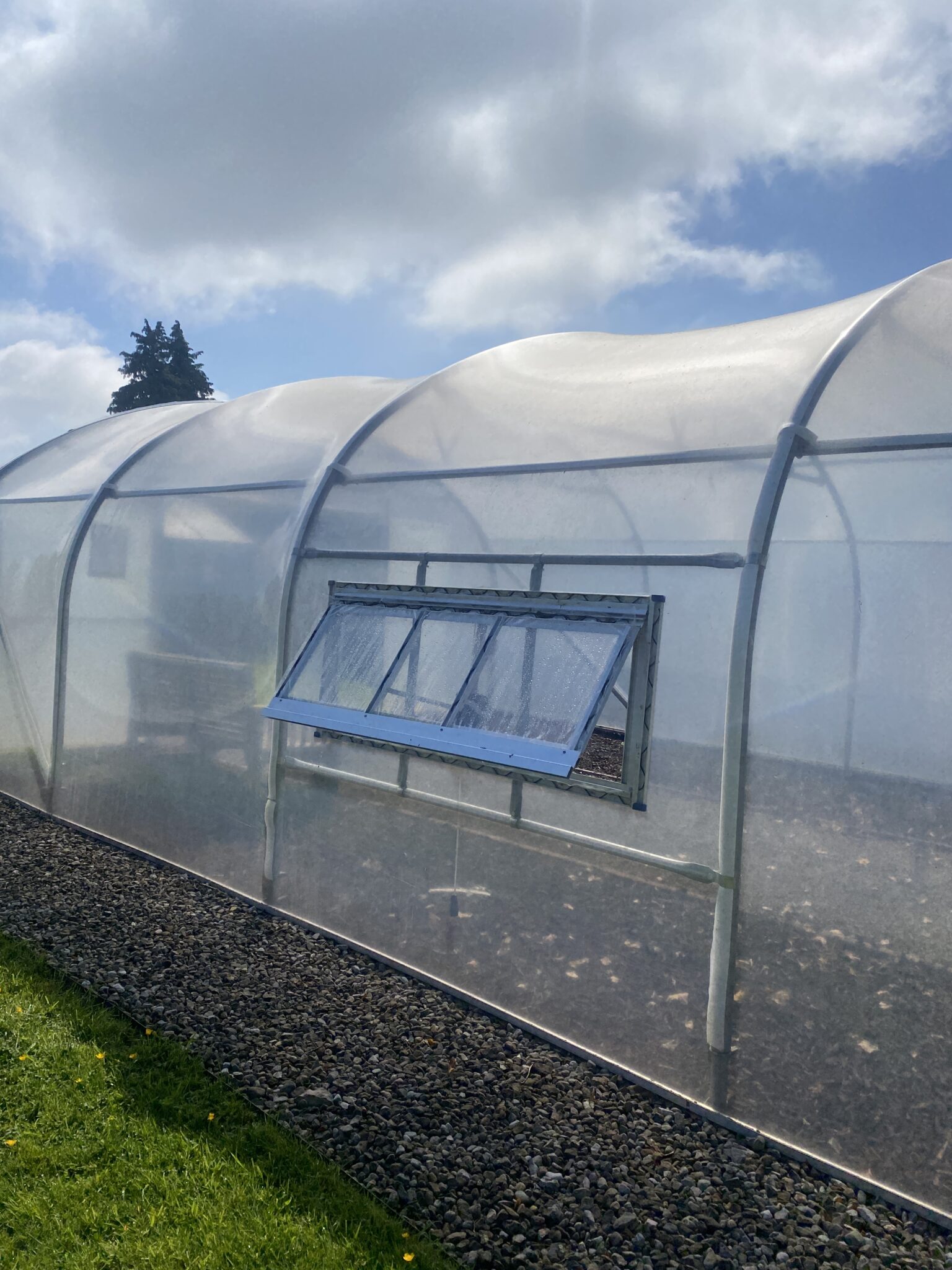 Polytunnel Windows for Airflow & Healthy Plants | Polydome